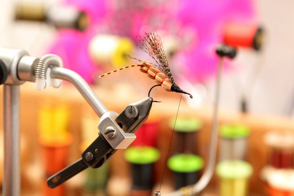 Essential Fly-Tying Equipment For Beginners – Oregon Sports News