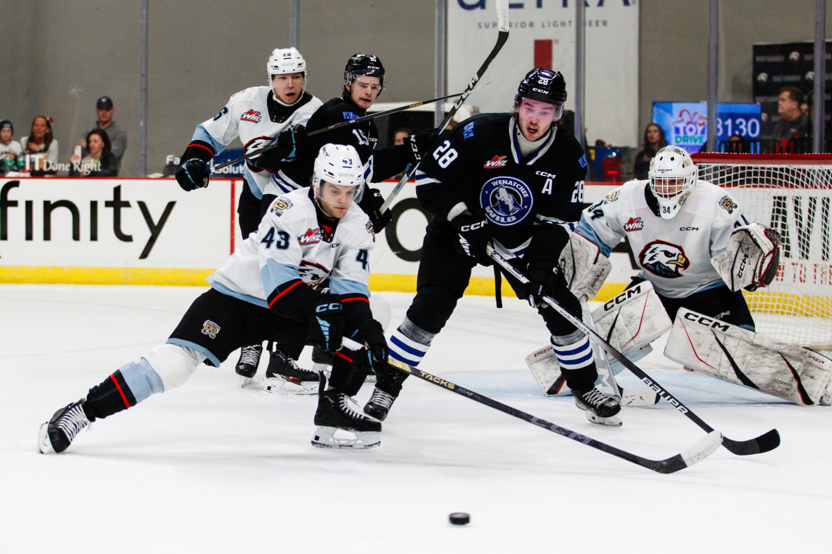 Portland Winterhawks Go Wild On The Weekend – Oregon Sports News