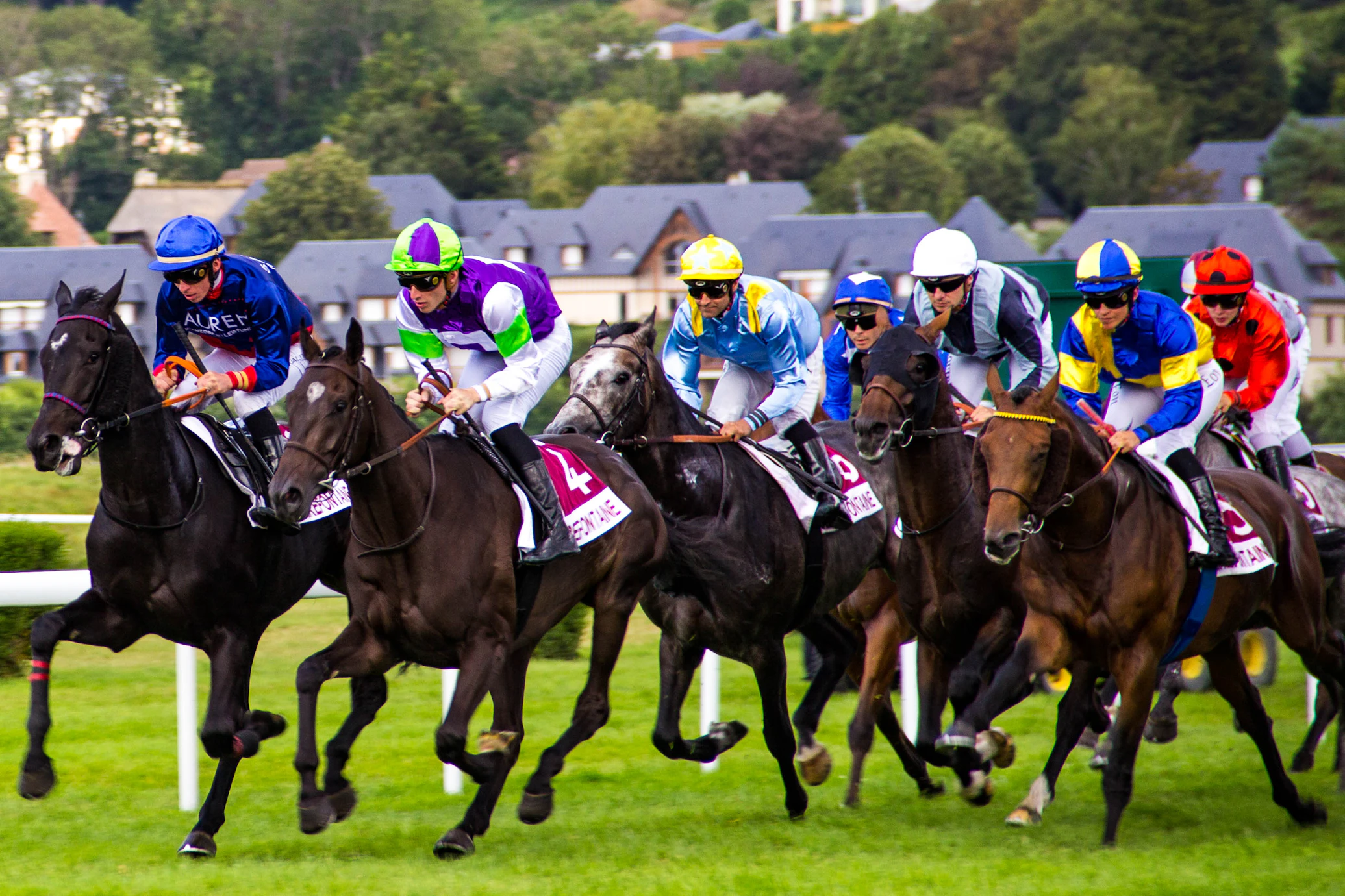 8 Key Factors To Consider When Analyzing Horse Racing Form Guides ...