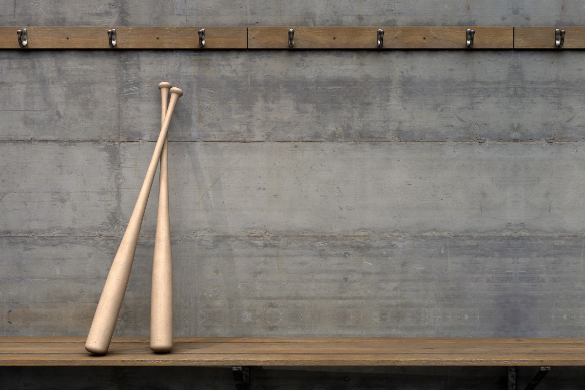 Important Tips For Caring Your Baseball Bat - Oregon Sports News