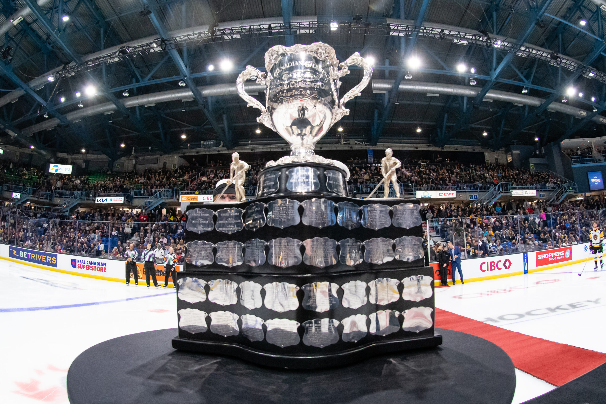 Memorial Cup Preview - Four Powerhouses, One Trophy, No Easy Path ...