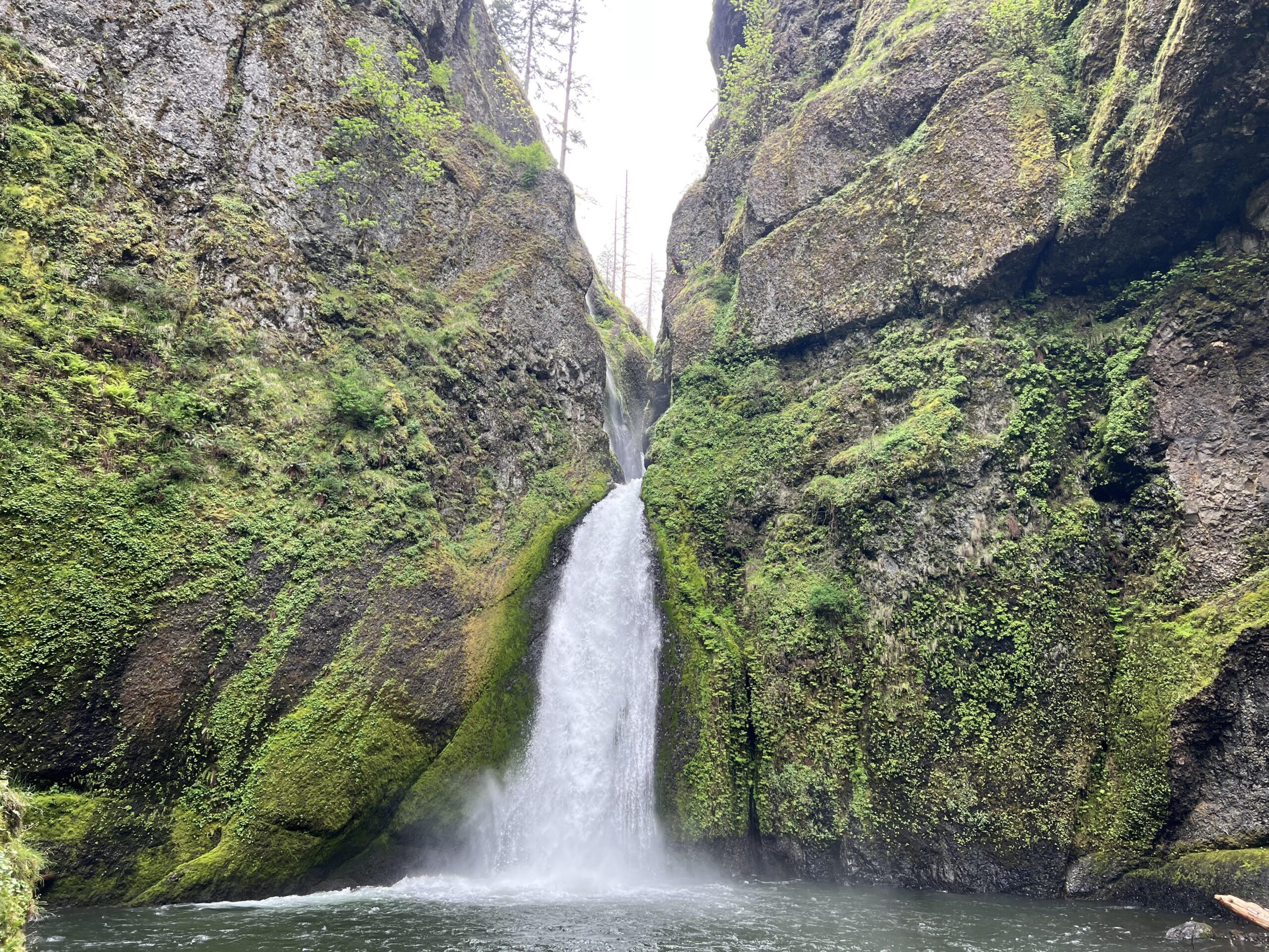 Waterfalls, Wildflowers, And Easy Trails – The Best Oregon Spring Hikes ...