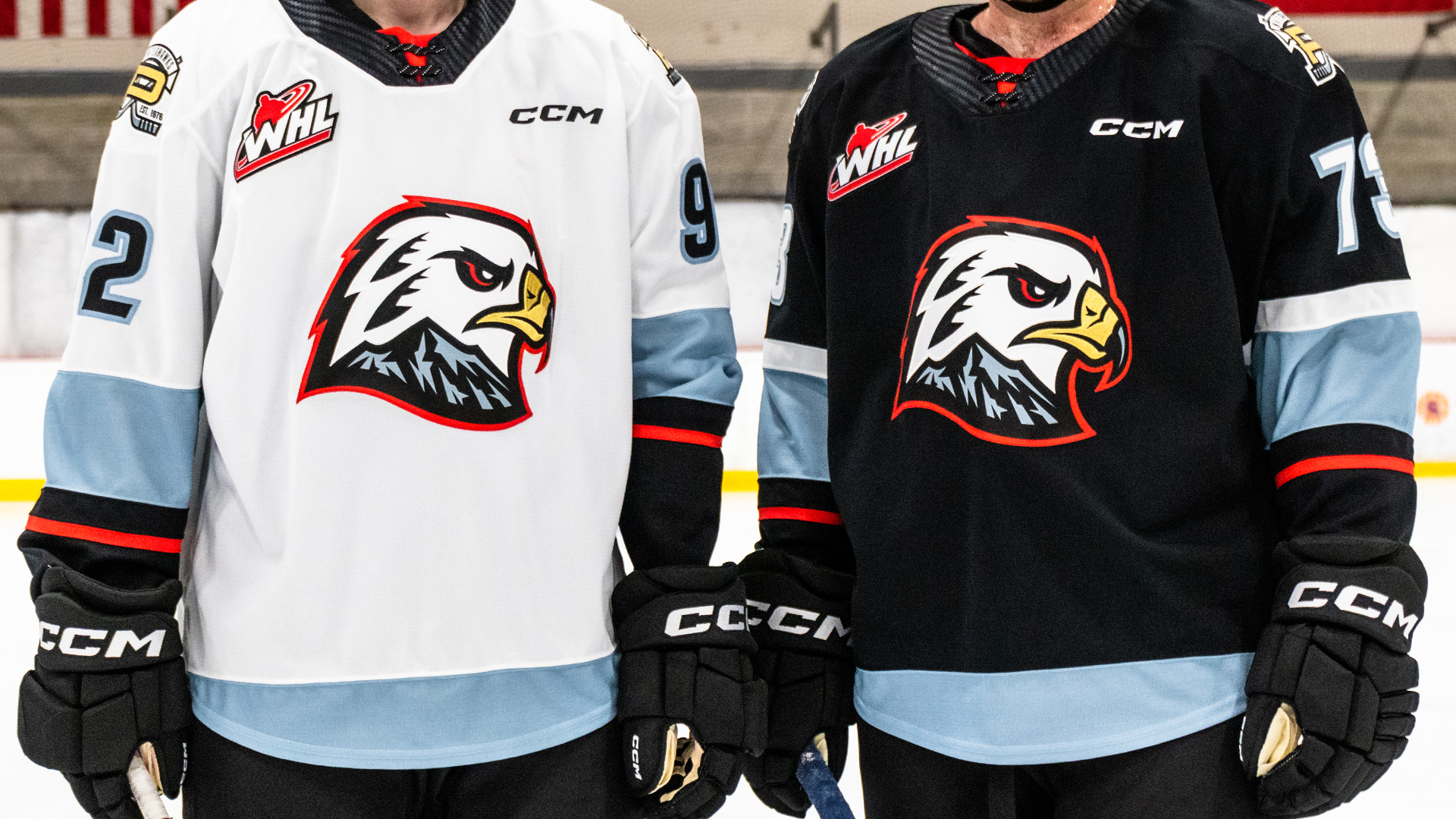 Portland Winterhawks Hit The Road As VMC Renovations Begin - 50th ...